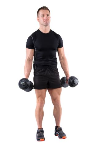 Bicep Curl PNG Vector PSD And Clipart With Transparent Background For Free Download Pngtree