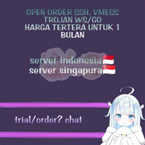 Jual Akun SSH Vmess Vless Trojan Go Dan Grpc Premium Biznet Rackh HE