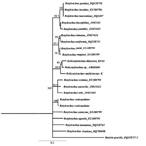 bayesian inference 50 majority rule consensus phylogeny generated