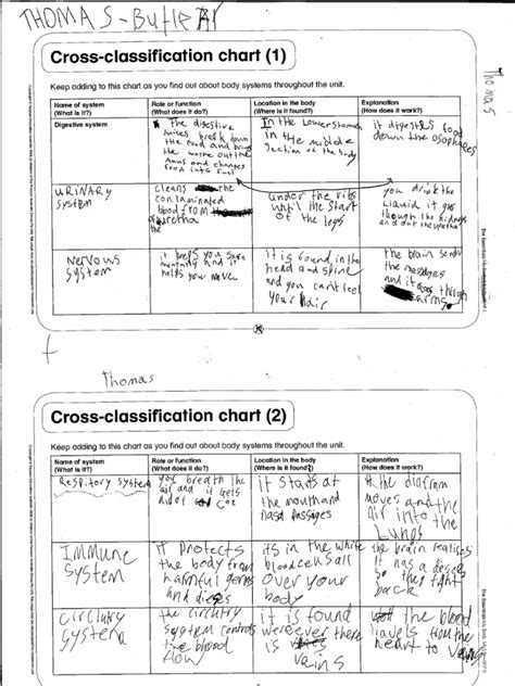 Cross Classification Chart 1 Spit11 Pdf