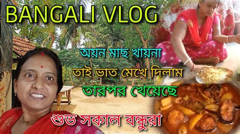 অয়ন একটুও মাছ খেতে চায়না তাই আমি ভাত মাখিয়ে দিলাম ও পুরোটা খেয়েছে Vlog Bengalivlog Viral