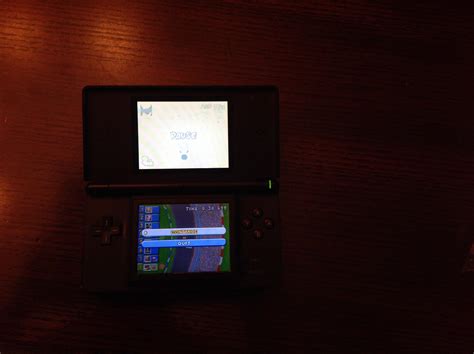 Does Anyone Know How To Fix This R Nds