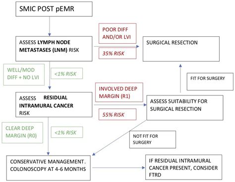 Oncological Outcomes After Piecemeal Endoscopic Mucosal Resection Of Large Non Pedunculated