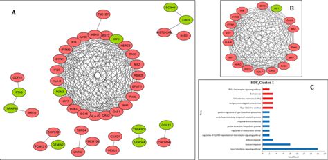 Analysis Of Protein Protein Interaction Network Of Degs In The