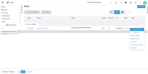 Deploy Production Grade Mongodb Cluster In Rancher Using Kubedb