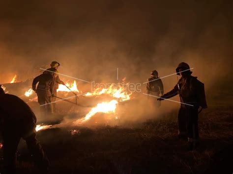 ОПШТИНА КОЧАНИ АПЕЛИРА ДА СЕ ПРЕСТАНЕ СО ПАЛЕЊЕТО НА СТРНИШТАТА Комарец