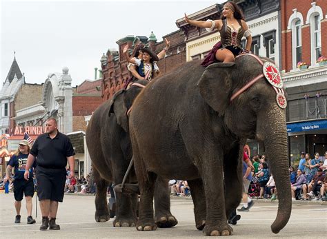 Elephant Ride South Carolina At Victoria Melrose Blog