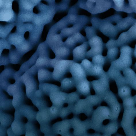 gain confidence in scanning electron microscope sem optimization