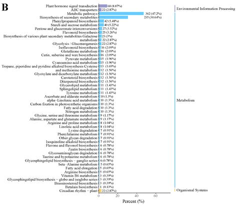 Plants Free Full Text Integrative Metabolomic And Transcriptomic