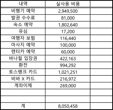 9인 대가족 베트남 다낭 해외여행 경비 정리