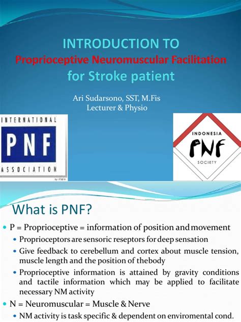 Pnf Techniques For Stroke Rehabilitation Pdf Anatomical Terms Of