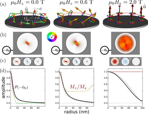 A Dynamical Magnetization Vector Short Arrow In The Local Frame Of