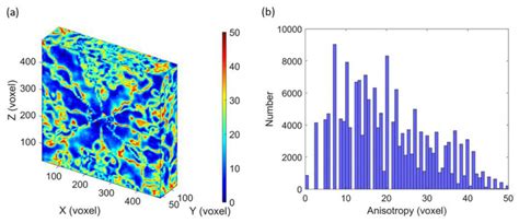 A Anisotropy Of Three Directional Optimal Subvolume Sizes And B