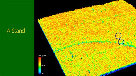 What Is Plot Imputation And How Do You Generate Forest Yield Tables Interpine Innovation