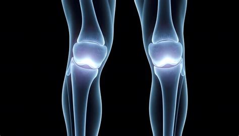 Knee Alignment Images Free Download On Freepik
