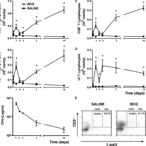 kinetics of cd3 ϩ t lymphocyte a cd4 ϩ lymphocyte b cd8 ϩ