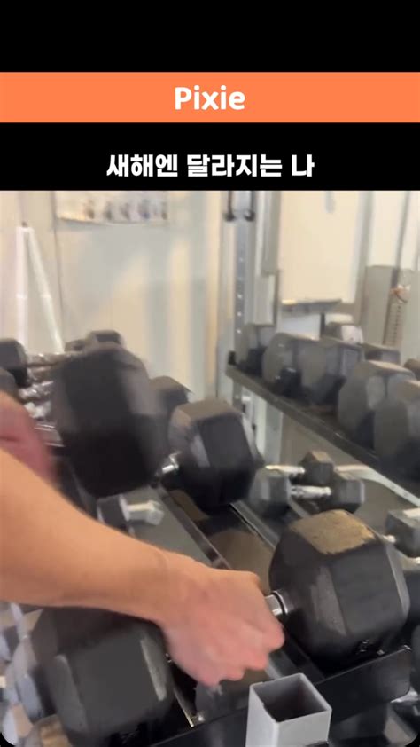 픽시밈 기왕이면 다른걸로 헬스 헬스트레이너 헬스장 자기관리 운동스타그램💪 피티 피티가격 피티경매 피티샵 Pt샵 Pt 헬린이 오운완 헬스트레이닝