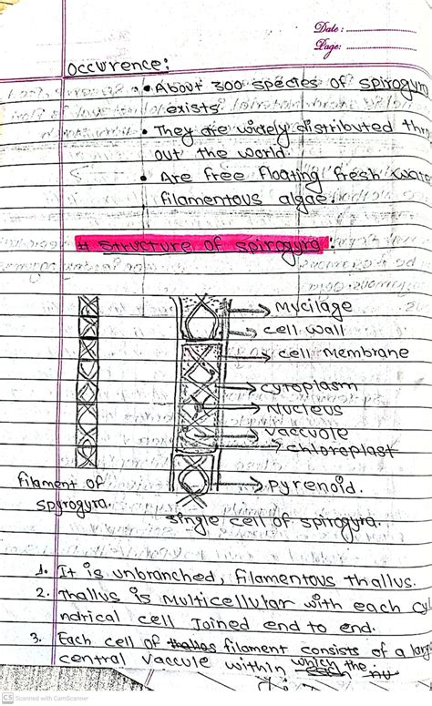 Class 11 Botany Note For 11 And Isc Ag Your All Notes