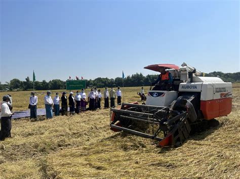 သနပ်ပင်မြို့နယ် ဖရဲကျေးရွာတွင် မျိုးစေ့ထုတ် မိုးစပါးစံကွက်ရိတ်သိမ်းပွဲကျင်းပ Information And