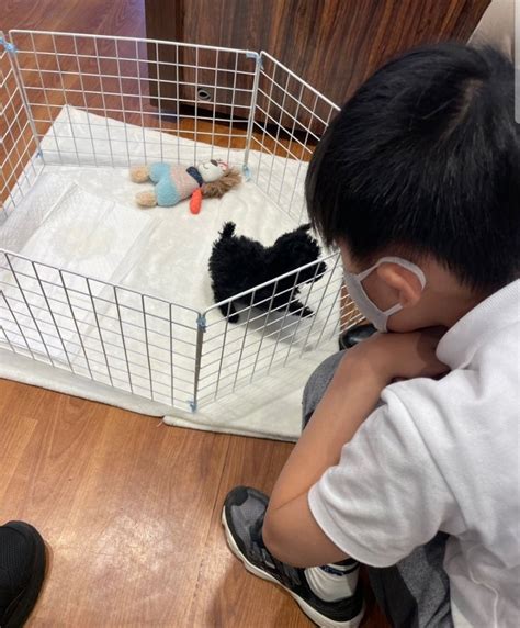 勸玄くん激カワ子犬に♡れいかちゃんは♡ 芸能eacs 芸能記事が湧き水のように湧いてきます Eacs Entertainment