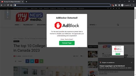 Detection · Issue 16399 · Ublockoriginuassets · Github