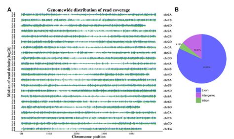 Figure 1 From Comparative Transcriptome Responses Of Leaf And Root Tissues To Salt Stress In