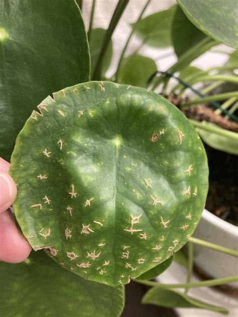 Looks Like The Marker Symbols 😳 Rdeadspace