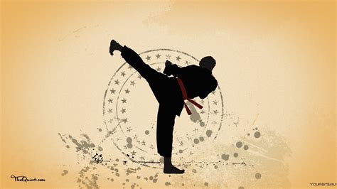 Тхэквондо картинки 67 фото