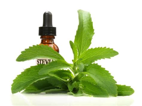 What Is Stevia Leaf Extract Detoxamin
