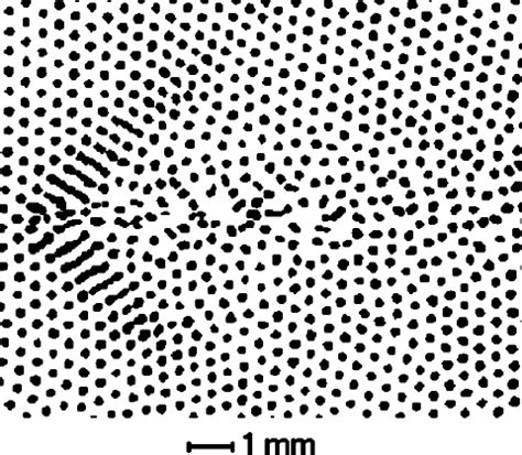 A Pair Correlation Function G R And B Orientational Download Scientific Diagram