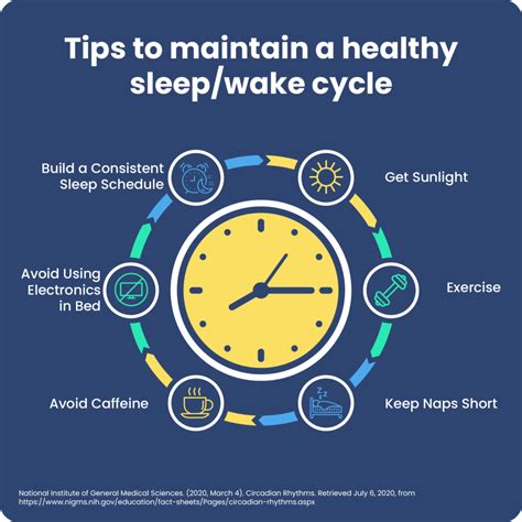 What Is Circadian Rhythm Sleep Foundation