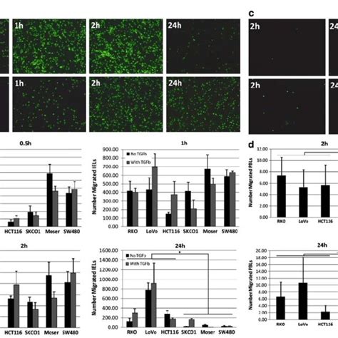Cfse Proliferation Assay Of Retained Lymphocytes Lymphocytes Were Download Scientific Diagram