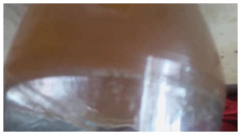 Sthil Ms261c Chainsaw In For Repairs Eporner