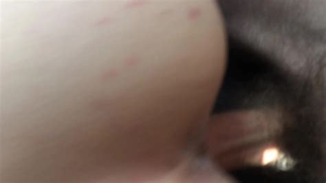 Free Back Seat Porn Videos Xhamster