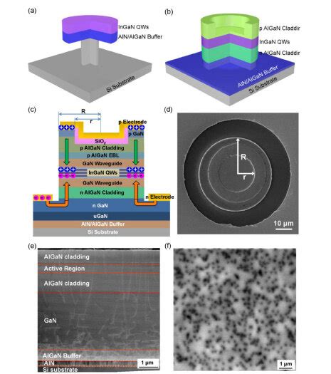 The Schematic Architectures Of The Reported ‘mushroom Like Ingan Based