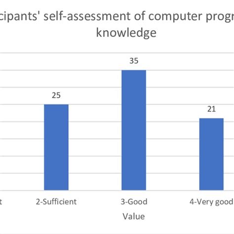 Participants Self Assessment Of Computer Programming Knowledge