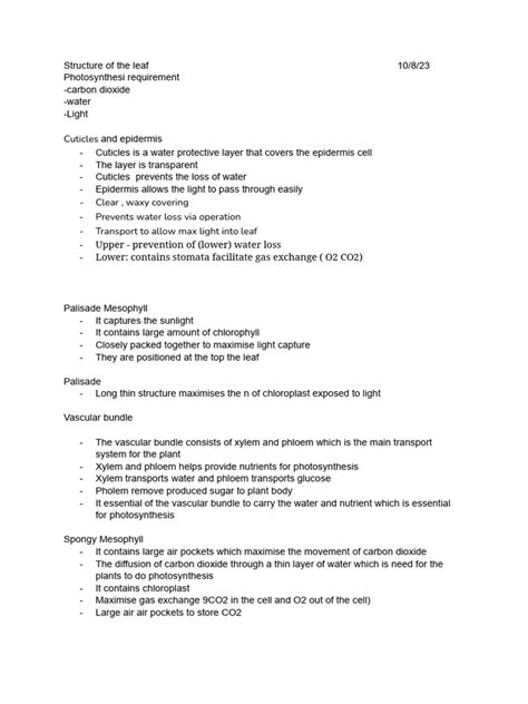 Bio Structure Of Leaf Pdf