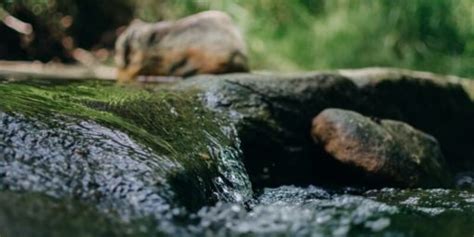 How To Measure Flow With Scales And Questionnaires