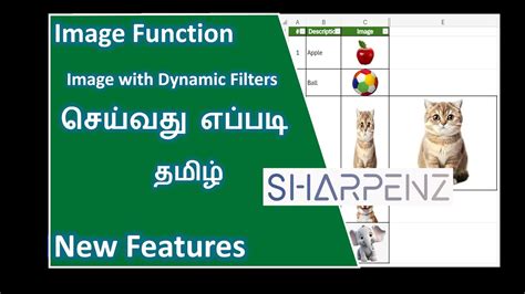 🛑👉image function to insert image and use dynamic filters excel tamil