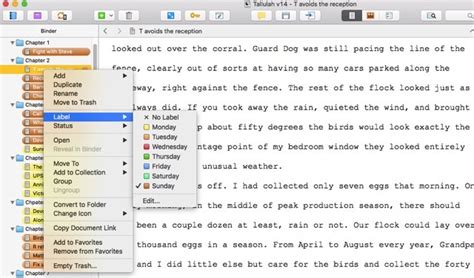Color Coding Scrivener To Keep Track Of Your Story At A Glance