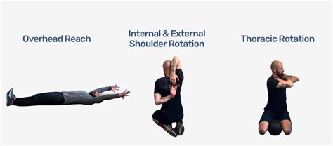 Mobility And Flexibility Program Pdf Health By Science