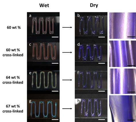 Photographs And Microscopy Images Of Printed HPC Samples Wet Sample Images Download