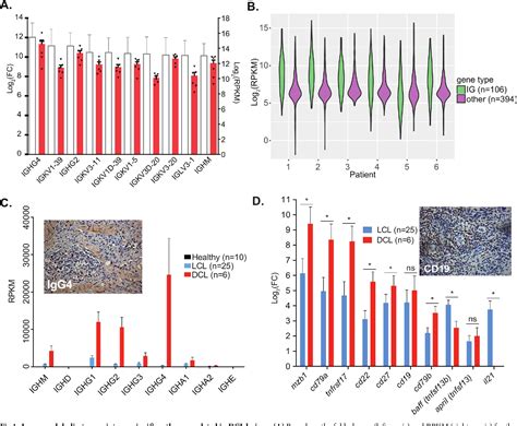Diffuse Cutaneous Leishmaniasis Semantic Scholar