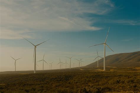 Investments Arroyo Arroyo