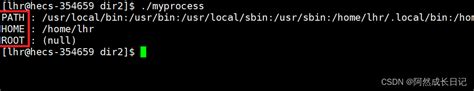 【linux】如何查看和获取环境变量四种方法（ path、env表、environ、getenv） 查看环境变量 csdn博客