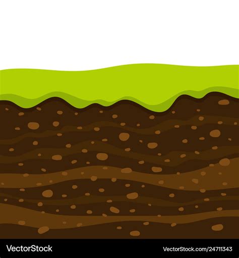 Soil Profile And Horizons Piece Land Royalty Free Vector