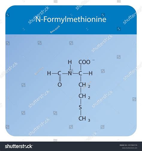 Methionine Structure