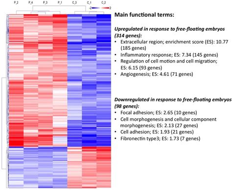 Heatmap Showing The Microarray Analysis Of Deg In Early Pregnant P1 4