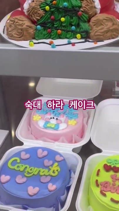 용산숙대케이크맛집하라케이크눈구경도즐겁다일상 Shorts Youtube