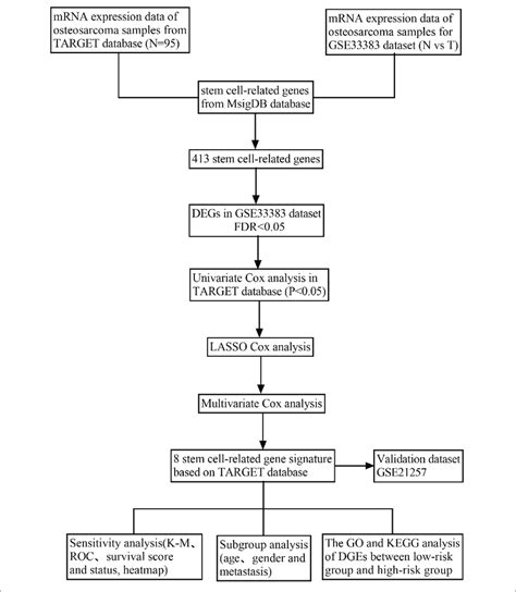 Flow Chart Of Data Gathering And Analysis Download Scientific Diagram